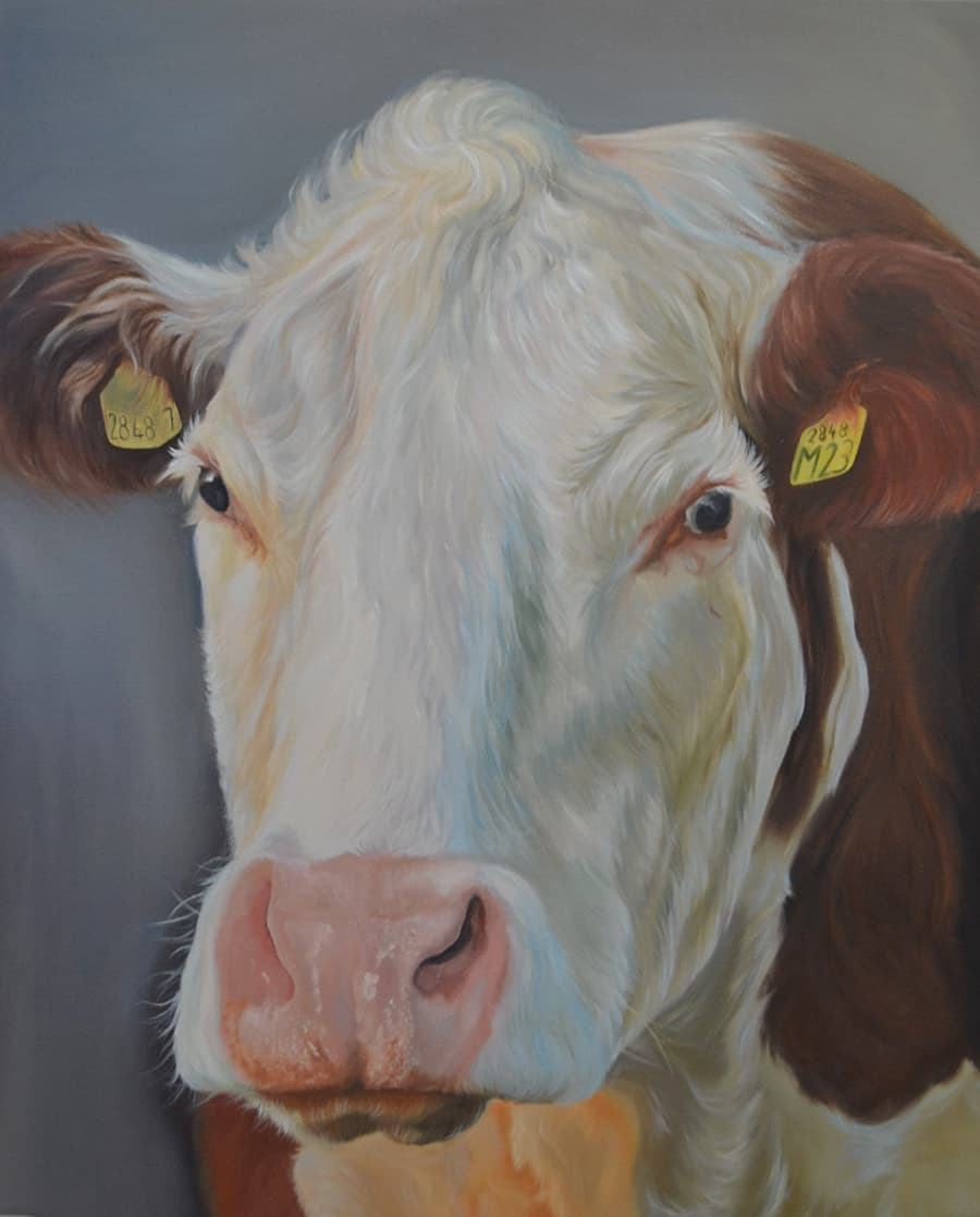 Art Review 2023 | Bloomfield Collegiate School